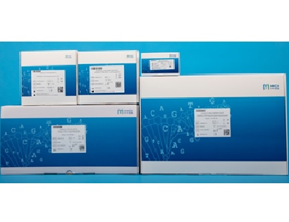 DNBSEQ-T7RS High-throughput Sequencing Set-MGI Tech Japan 株式会社